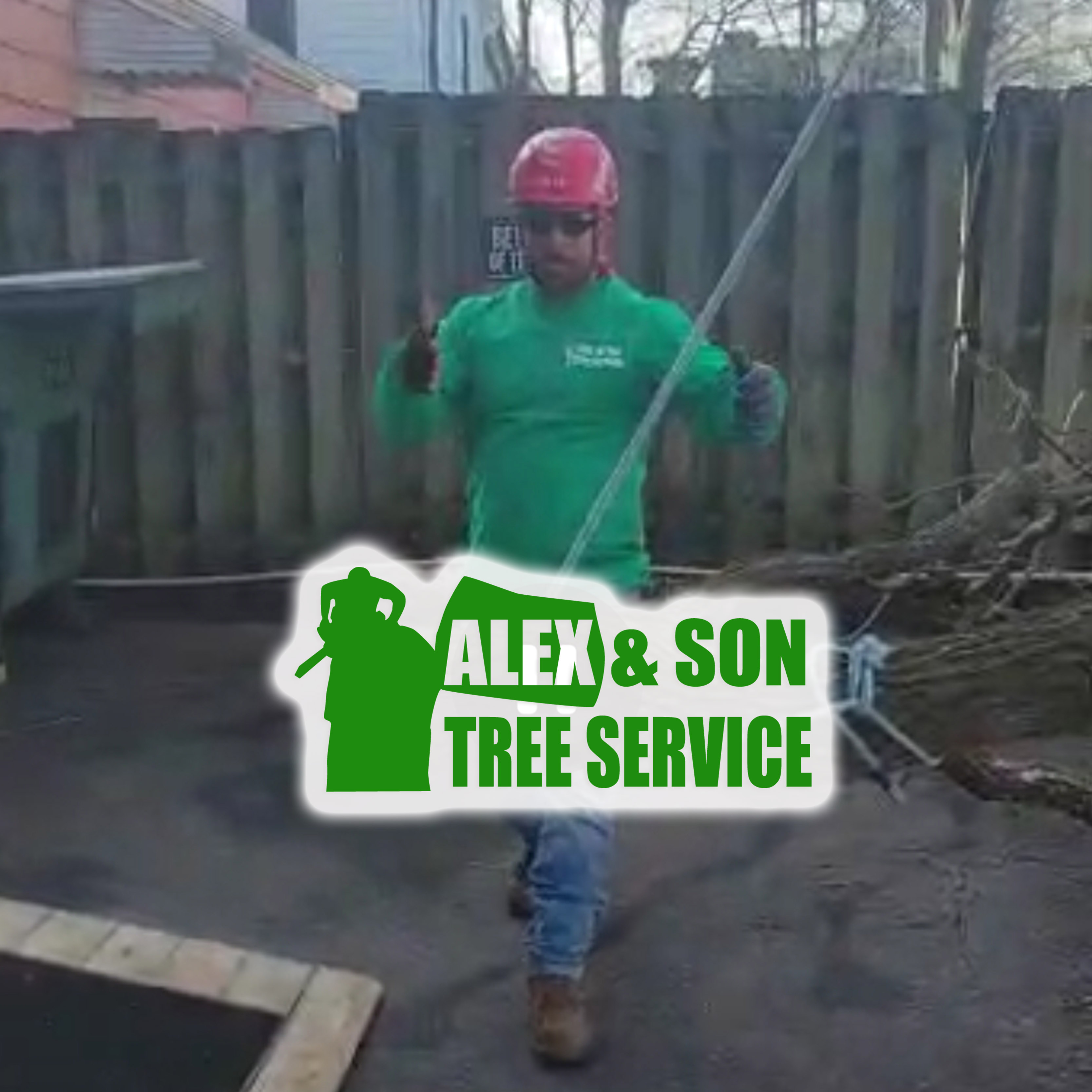 Tree Removal Services | Low Cost Tree Removal in Morristown, NJ ...